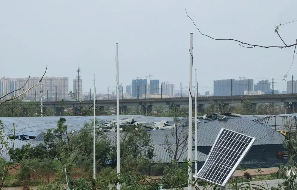 Nearly a Million Evacuated in China After Typhoon Yagi Landfall | Bombo ...