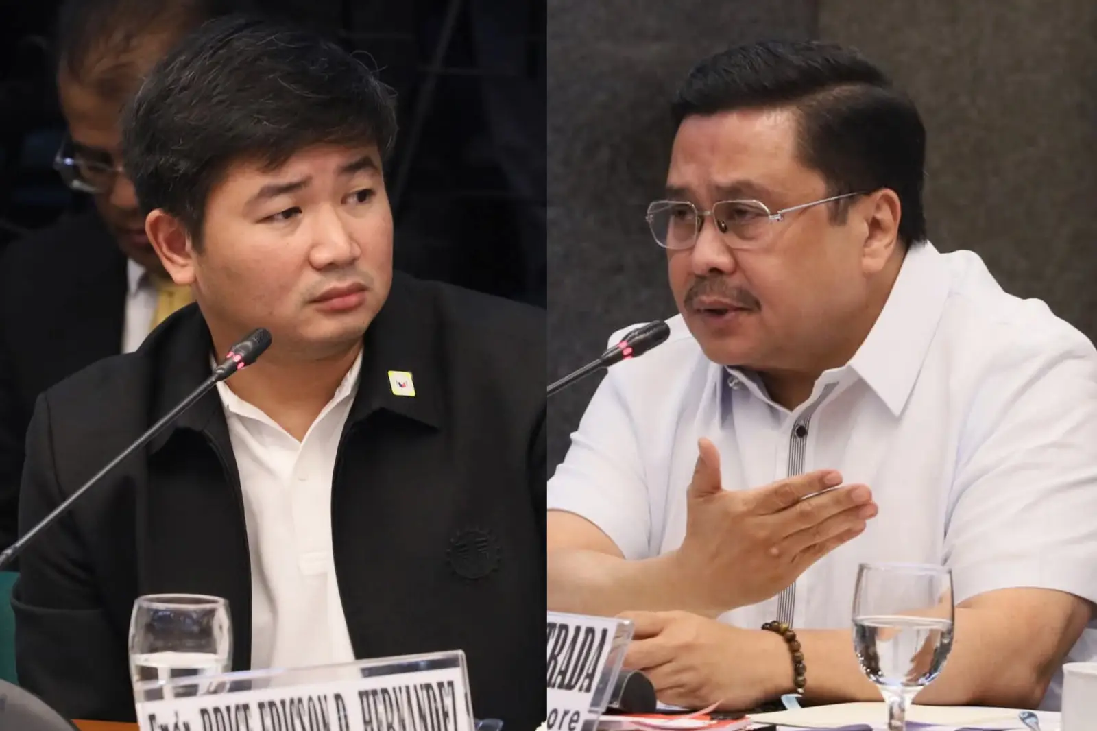 Sen. Jinggoy files complaint vs ex-Bulacan Engineer Brice Hernandez ...